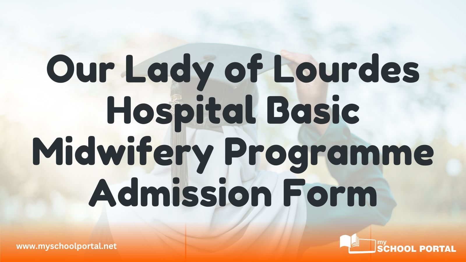 Our Lady of Lourdes Hospital Basic Midwifery Programme Admission Form - March 2025 Intake - My ...